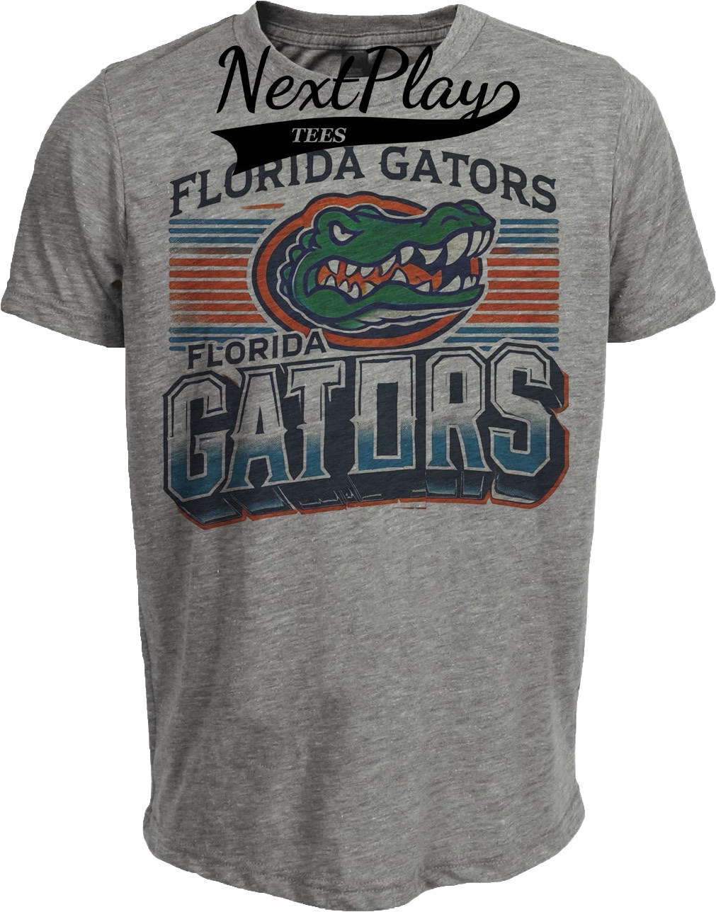 Florida Gators Exclusive Retro Mascot Team Artwork Heather Gray ...